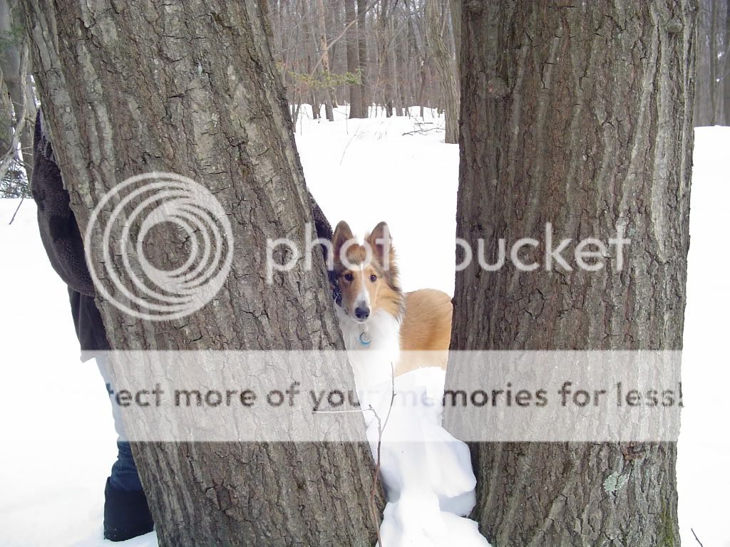 DEJA's 2/20/10 Snow Run at RC - Pics and Report - Trail Runs and ...