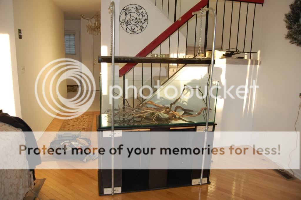 Mott's ADA 120p "Pathway to nowhere" | The Planted Tank Forum