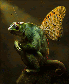 creative stuff - TheBlog