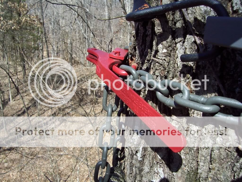 Hunting Beast Tree Stands at Adolfo Scanlan blog