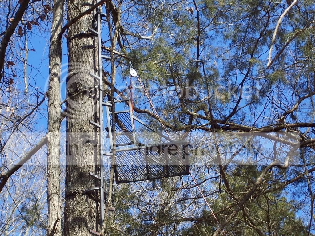 Treestand Project - Hunting Beast™ / The Hunting Beast™