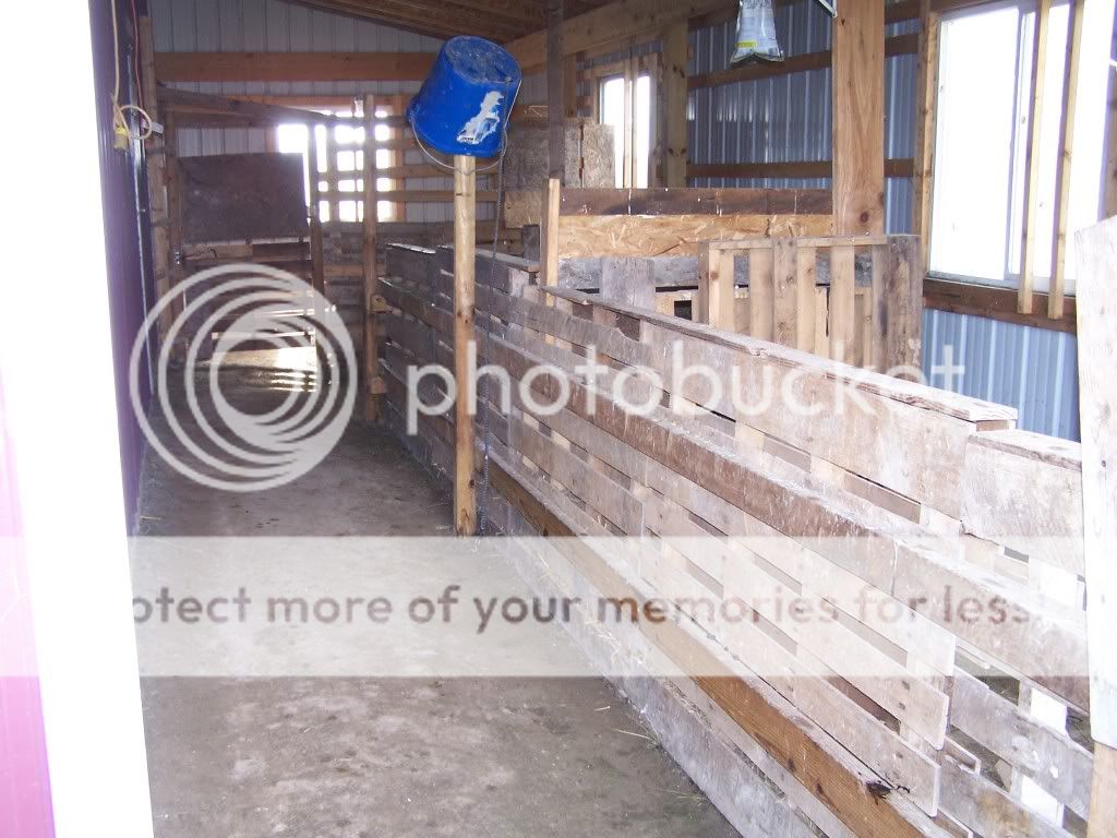 Show me your barn. Please... | Homesteading Forum